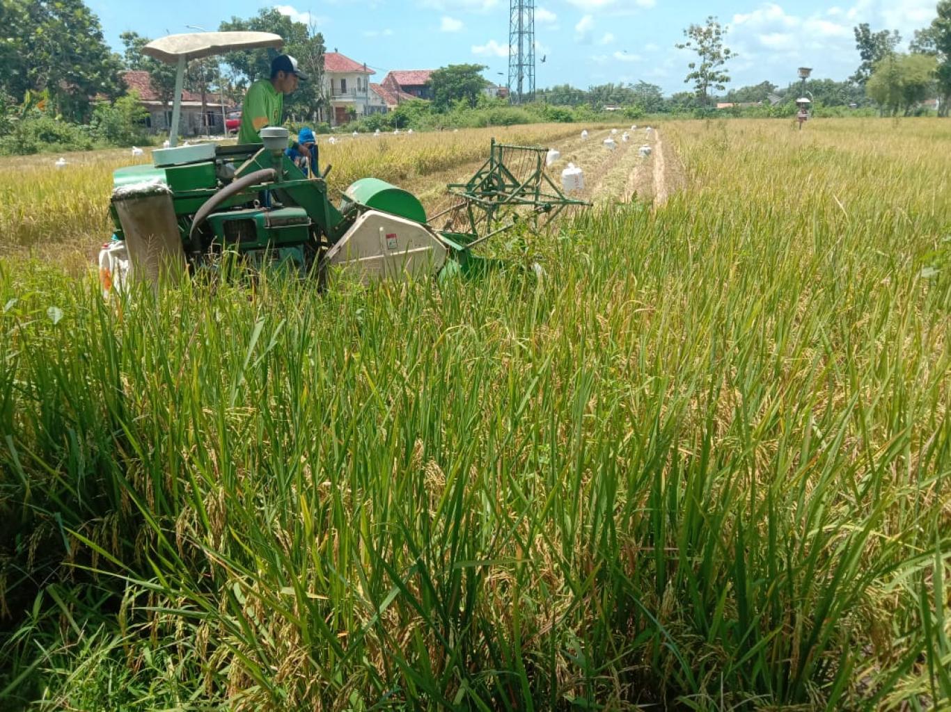 Gerakan Panen Padi Menggunakan Mini Combine Harvester - Website ...